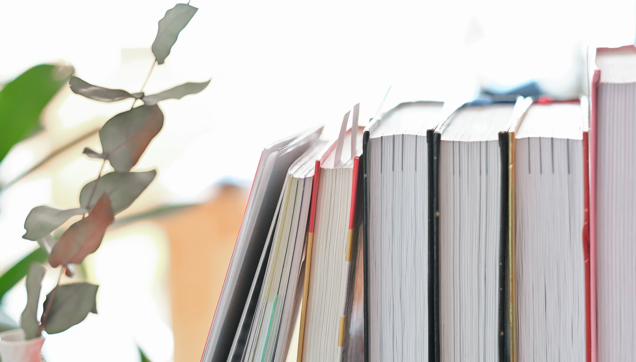 Udžbenici | Prva privatna gimnazija, Zagreb